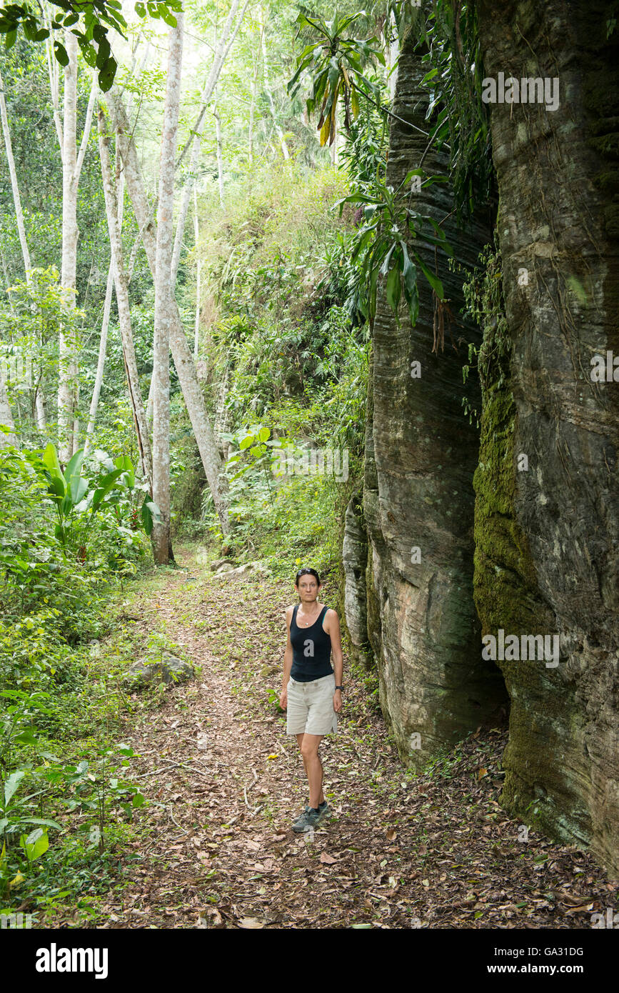 Tourist on a forest path, Amani Nature Reserve, Tanzania Stock Photo ...