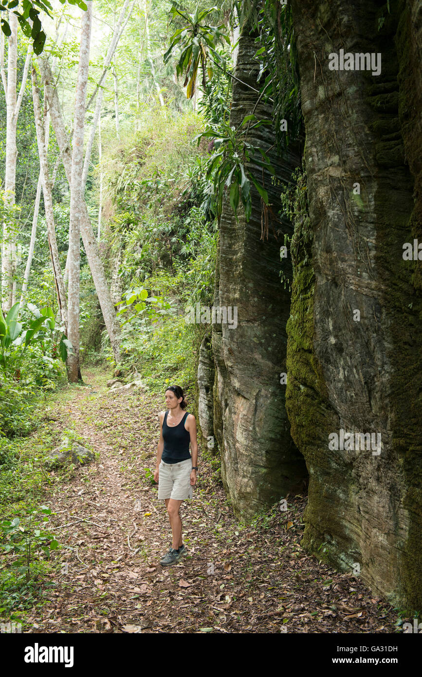 Tourist on a forest path, Amani Nature Reserve, Tanzania Stock Photo ...