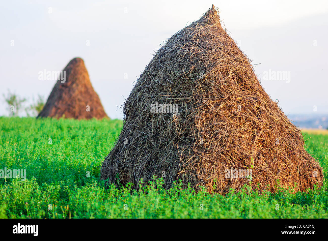 Land two haystacks hi-res stock photography and images - Alamy