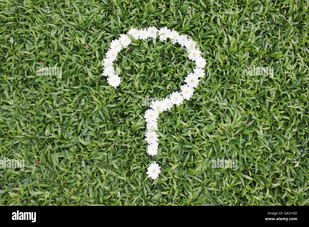 Question mark made from daisy flowers on green grass background, spring ...