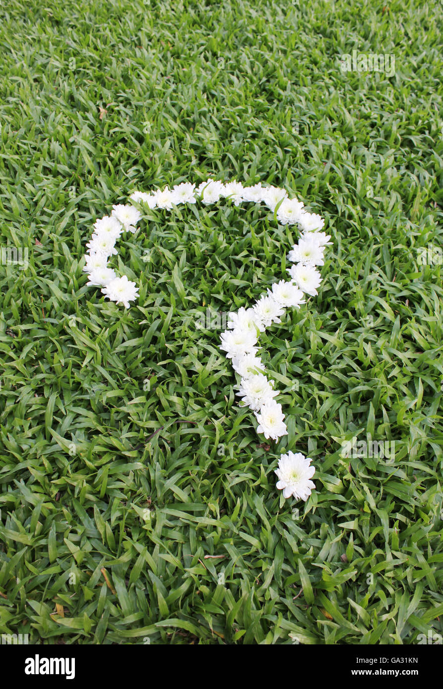 Question mark made from daisy flowers on green grass background, spring ...