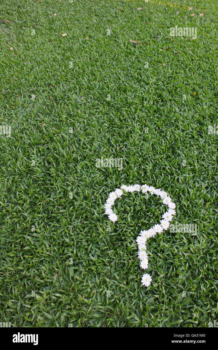 Question mark made from daisy flowers on green grass background, spring ...