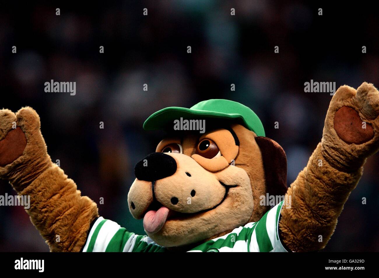 Celtic Mascot High Resolution Stock Photography and Images - Alamy