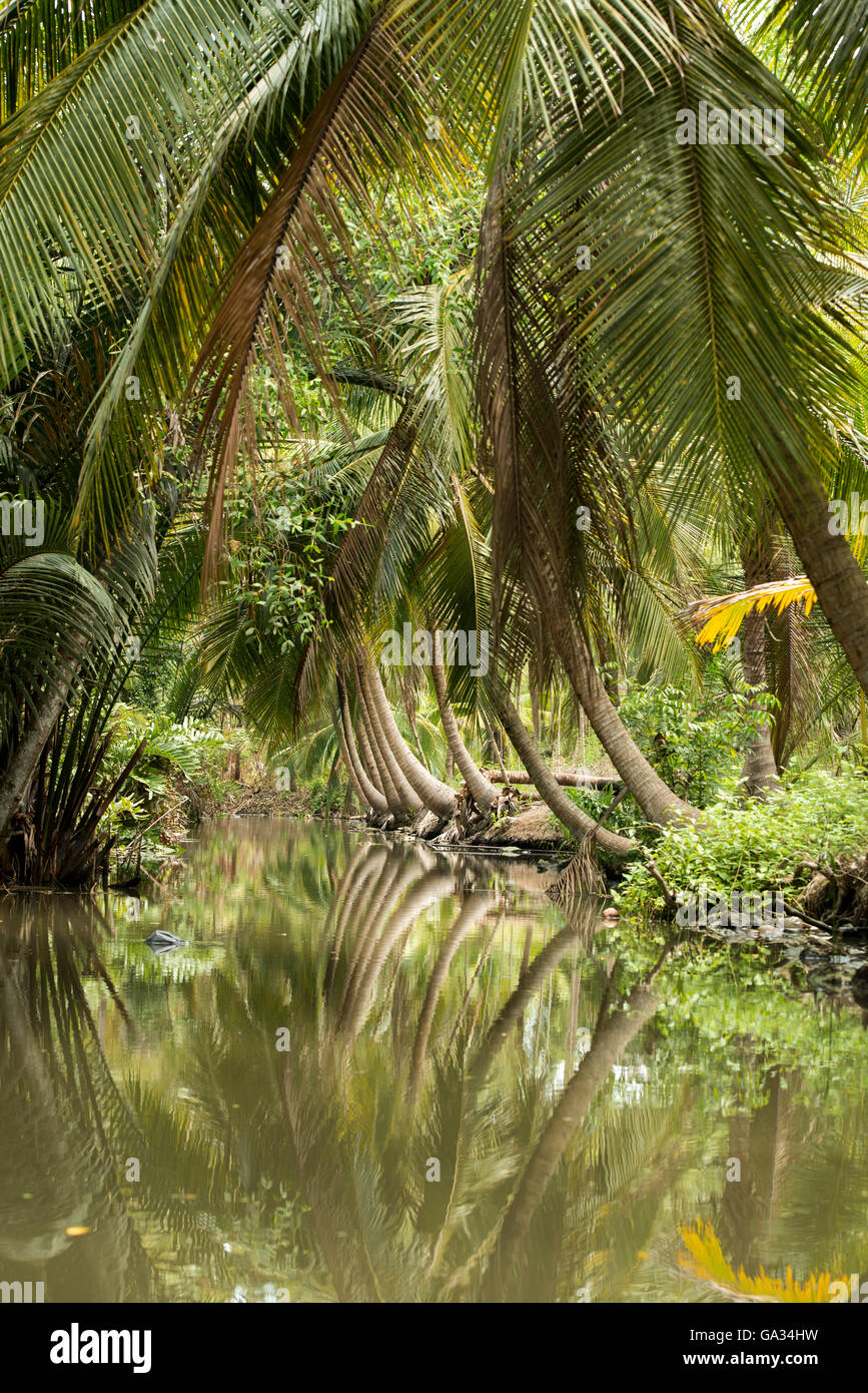 the landscape and rivers allround the Town of Tha Kha in the Province ...
