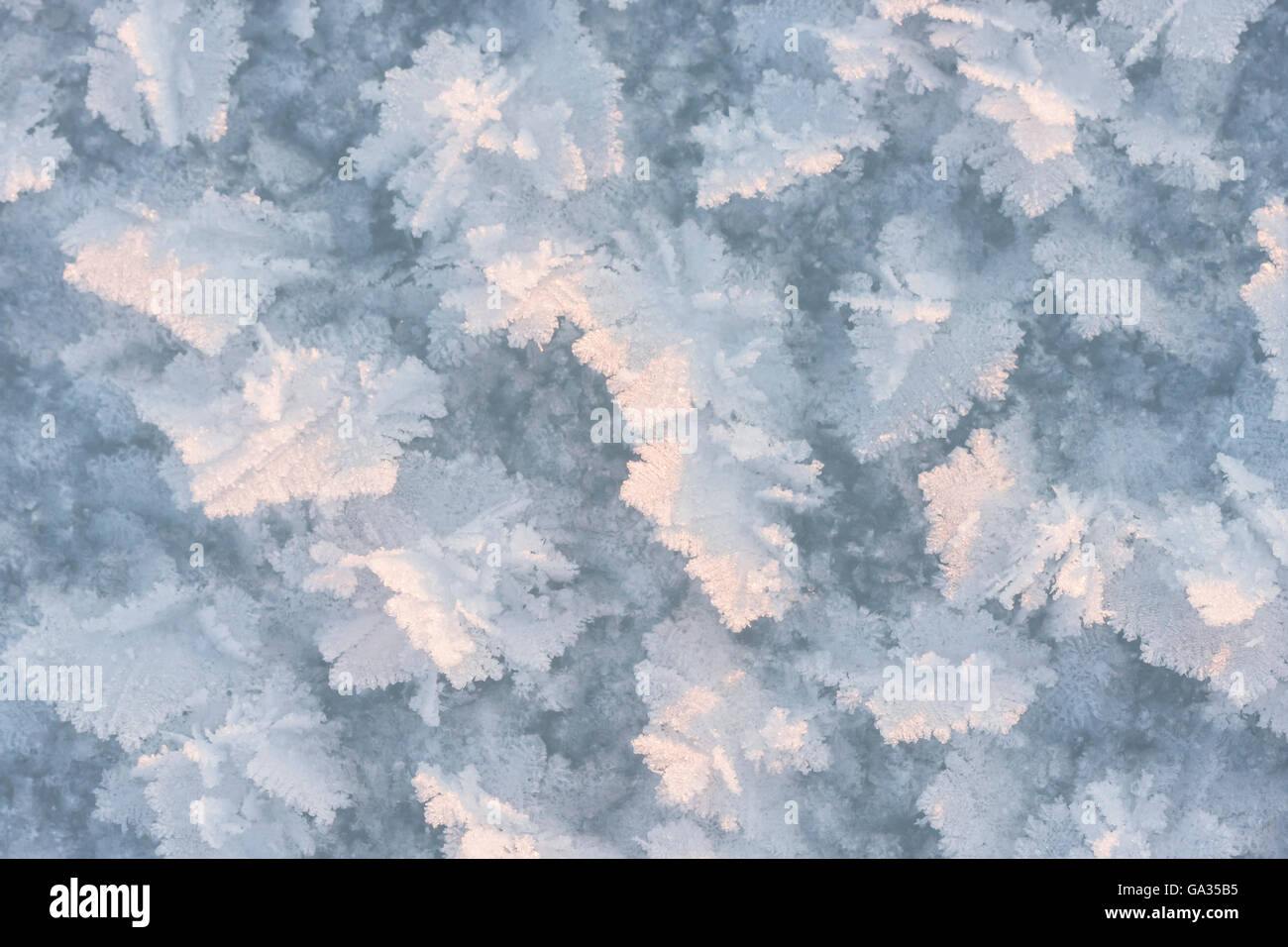 Snow flake ice hi-res stock photography and images - Alamy