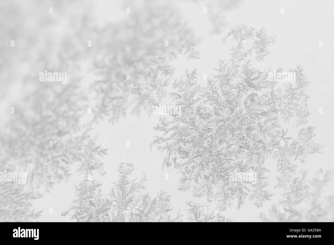 Winter crystal Black and White Stock Photos & Images - Alamy