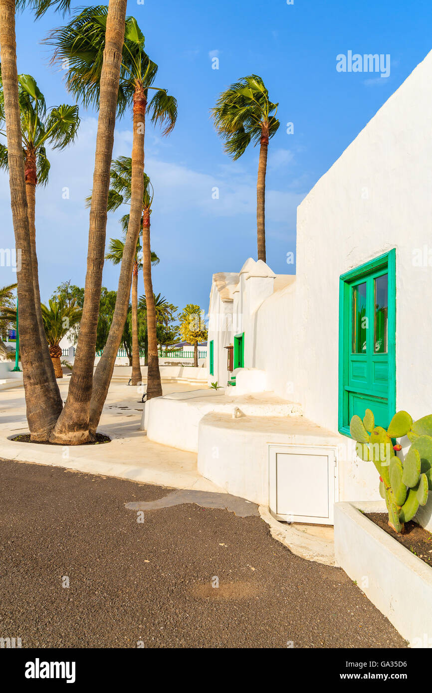 Traditional white houses and palm trees in Yaiza village, Lanzarote ...