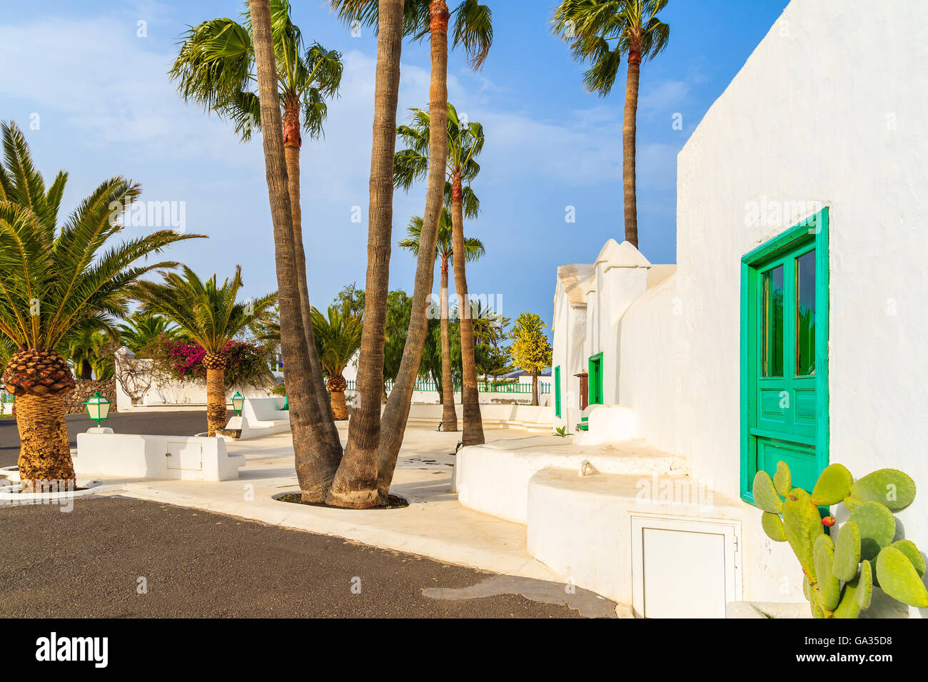 Traditional white houses and palm trees in Yaiza village, Lanzarote ...