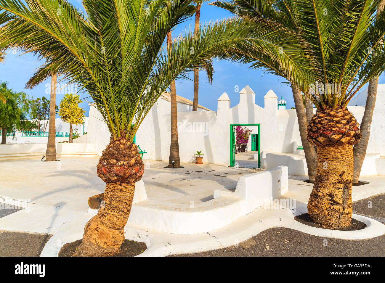 Entrance gate palm trees hi-res stock photography and images - Alamy