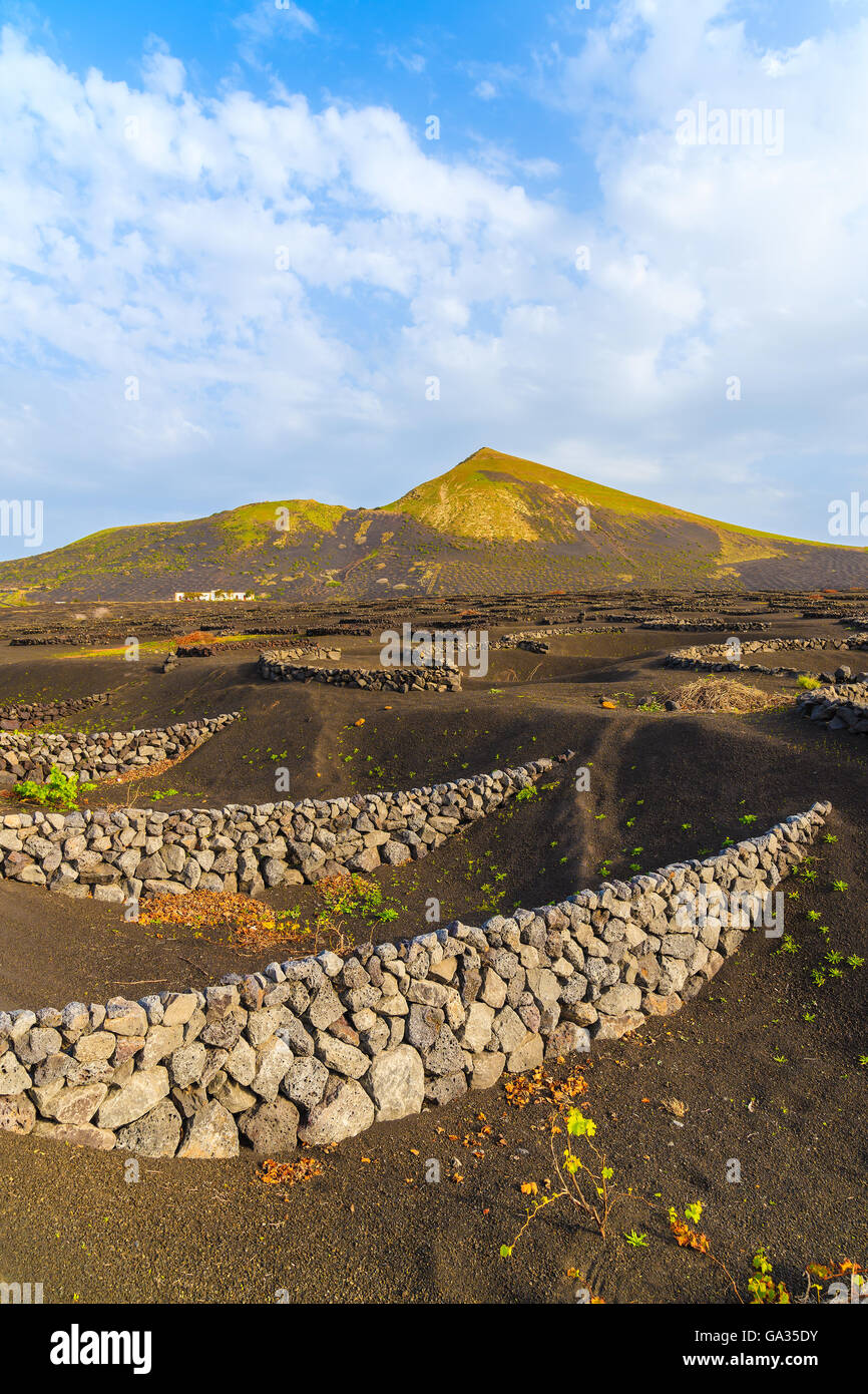 Volcanic soil hi-res stock photography and images - Alamy