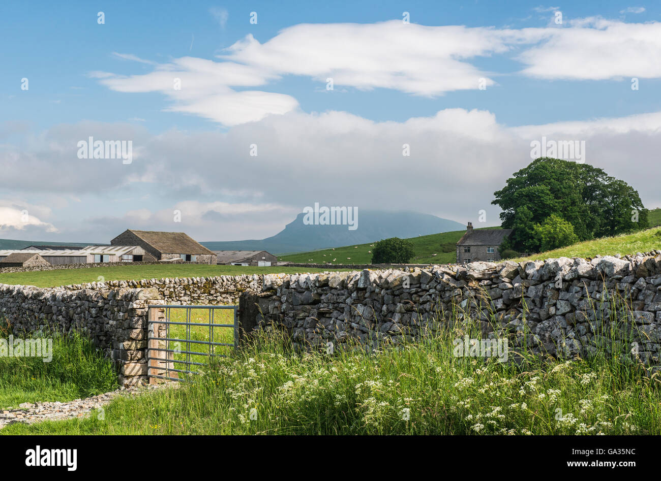 Pen y Ghent and Dales Farm on road from Malham to Settle in the ...