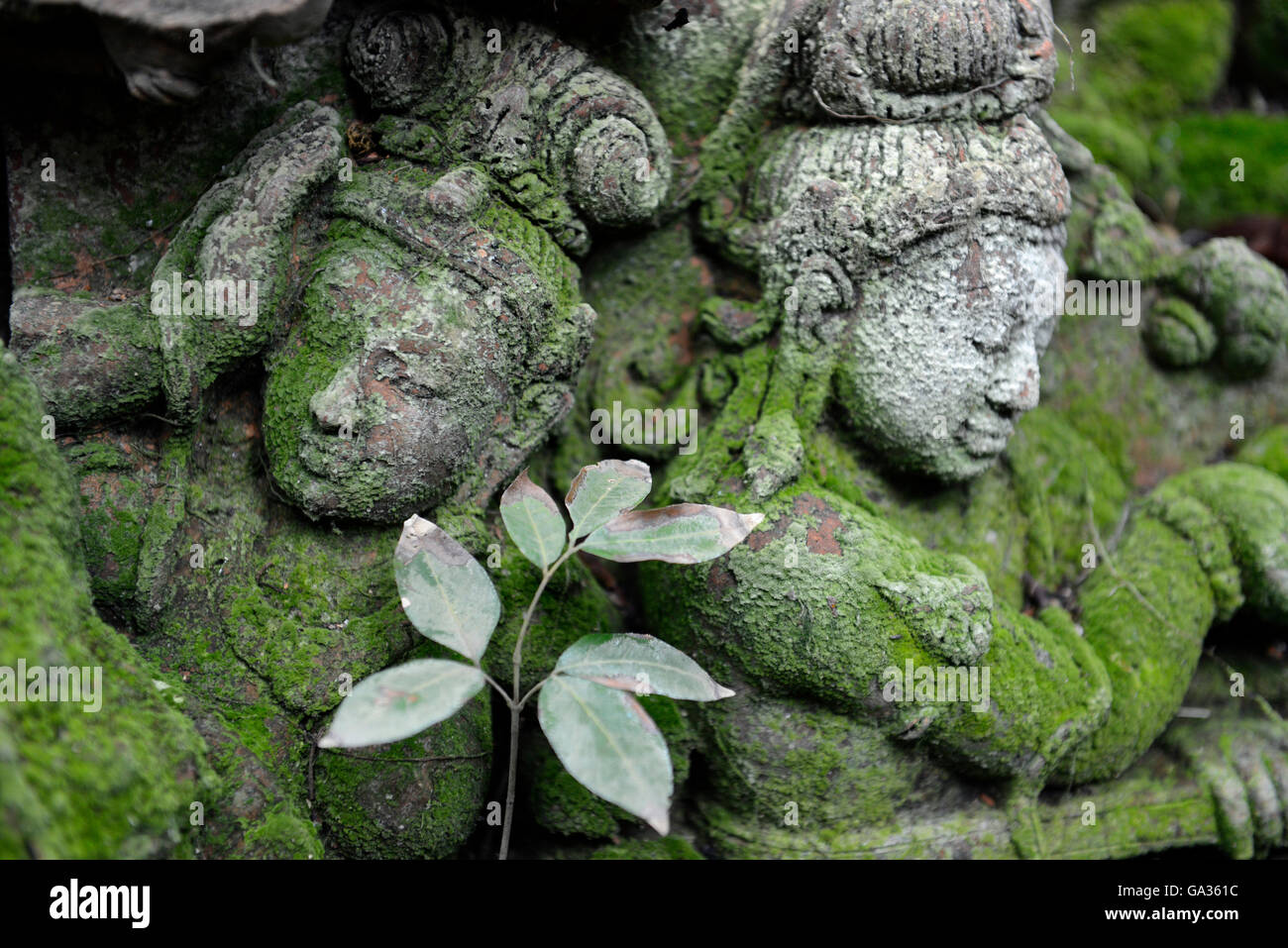 a garden and Buddha terracota of Mr Ban Phor Linag Meuns Terracota Art ...