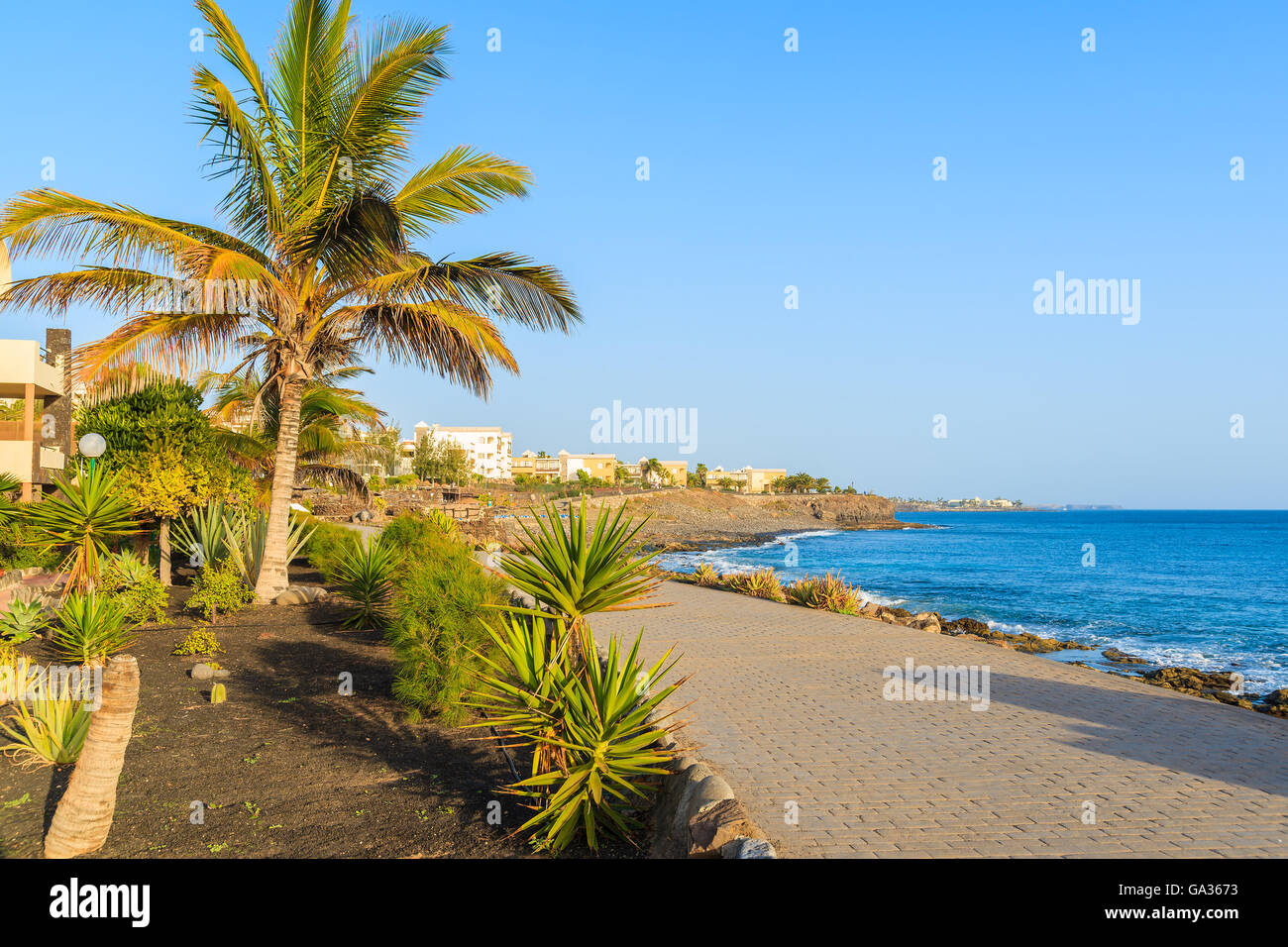 Palm trees and hotel buildings along coastal promenade in Playa Blanca ...