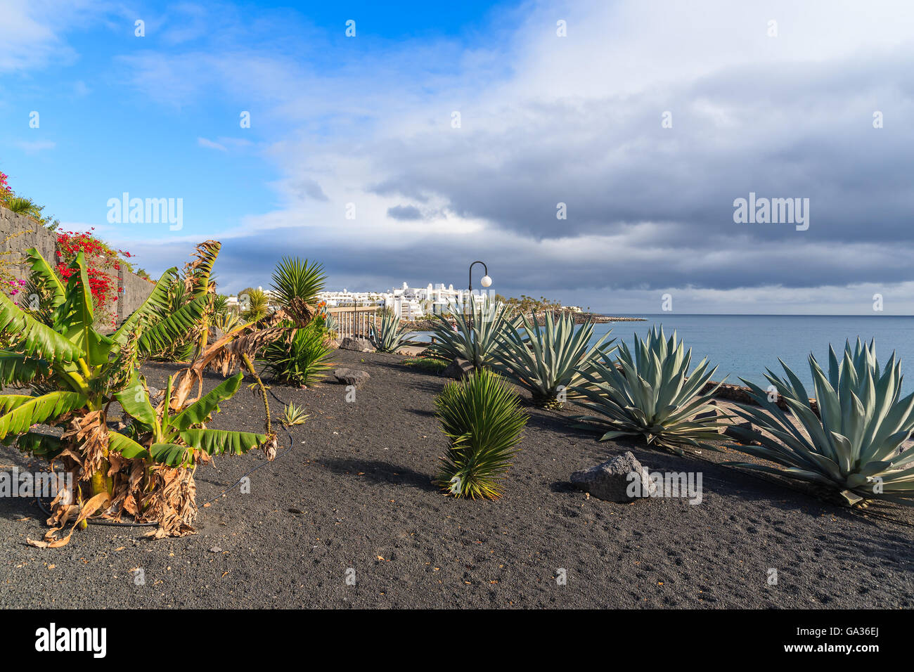 Coastal promenade with tropical plants in Playa Blanca holiday village ...