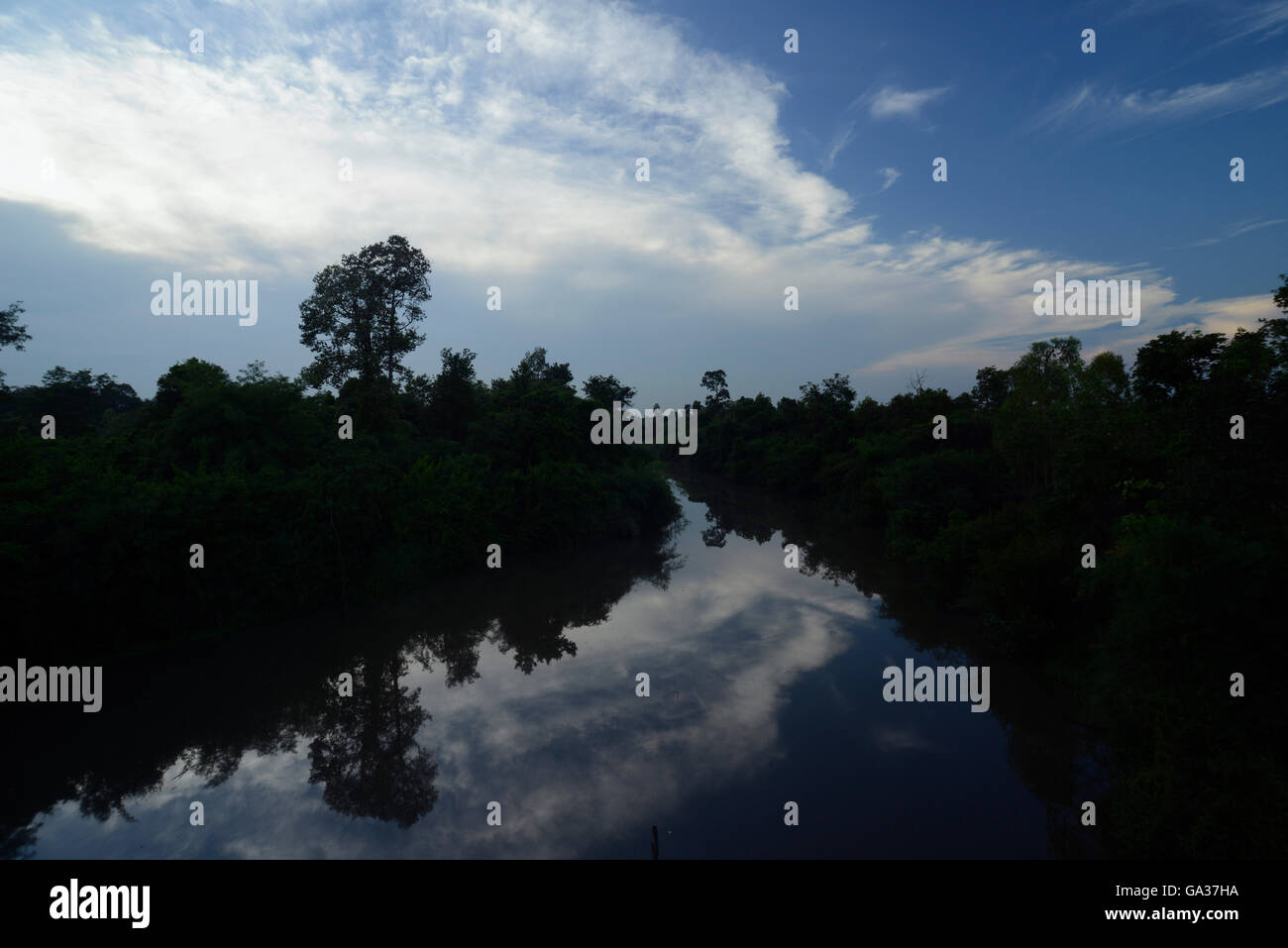 Rice fields near the city of Amnat Charoen in the Provinz Amnat Charoen ...