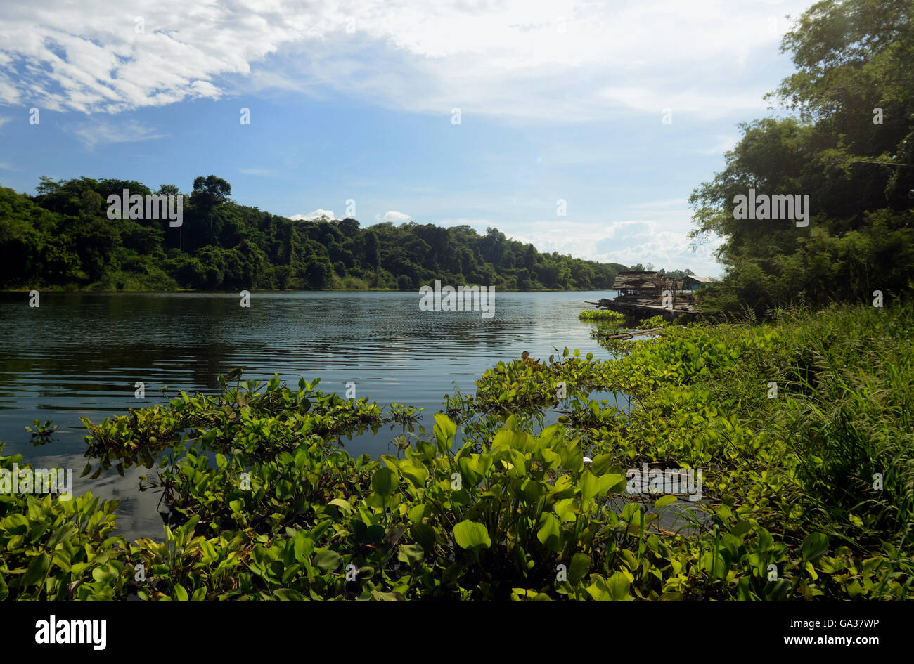 the Moon River near the city of Ubon Ratchathani in the provinz of Ubon ...