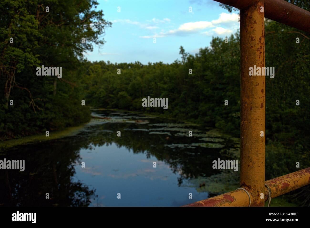 Spacva lake hi-res stock photography and images - Alamy