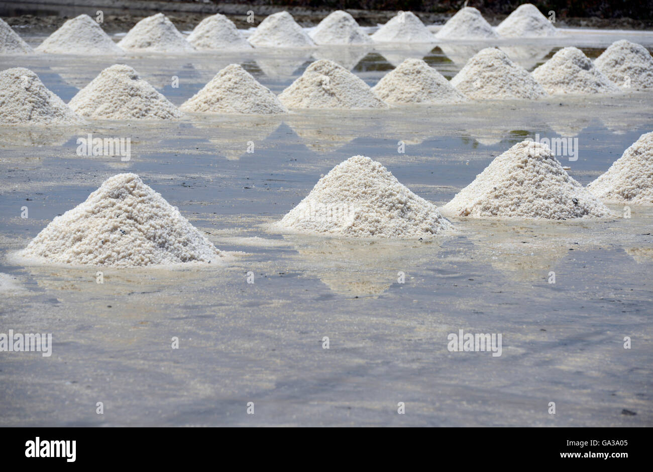 salt productuion outside of the city of Bangkok in Thailand in ...