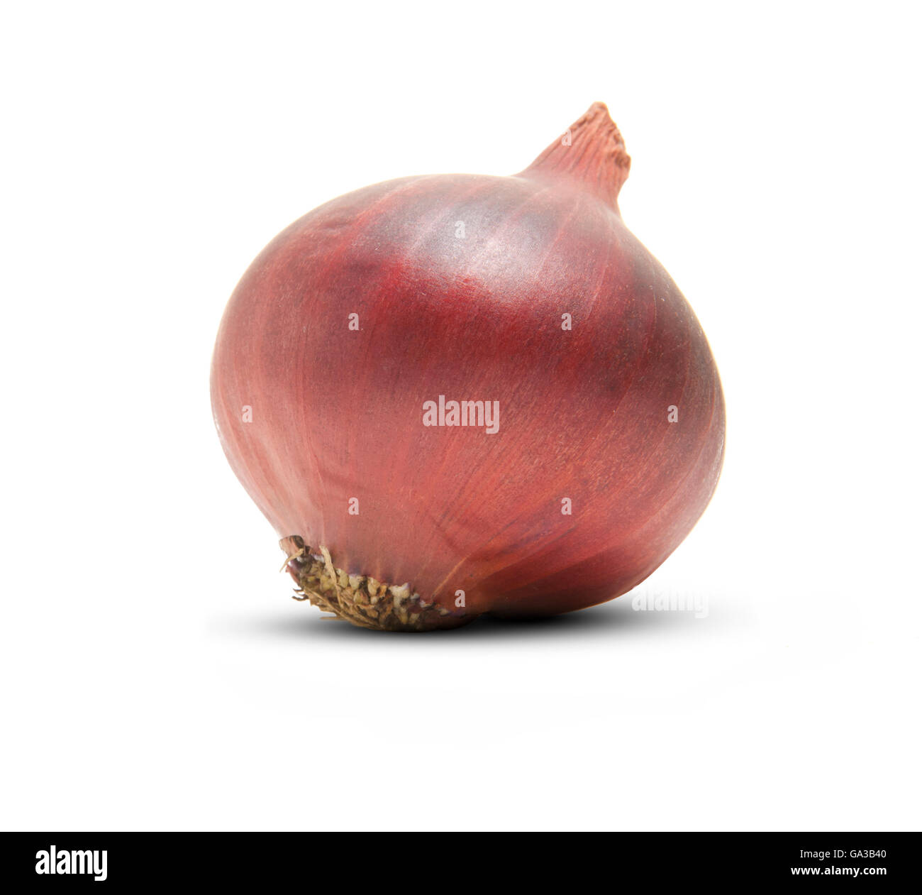One Red Onion Isolated on White Background Stock Photo - Alamy