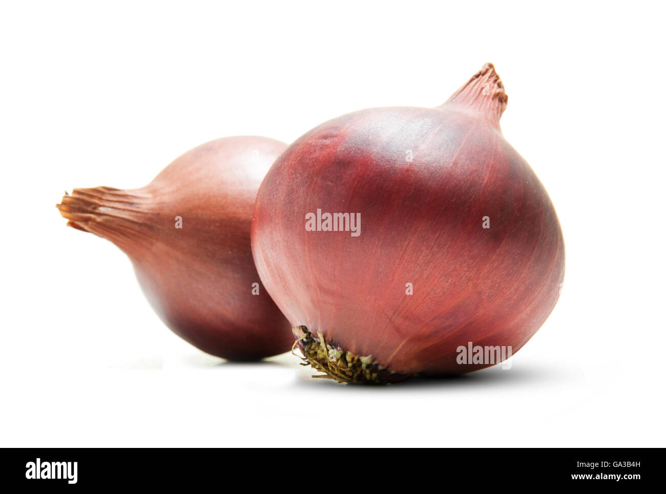Vegetable white spring onions Cut Out Stock Images & Pictures - Alamy