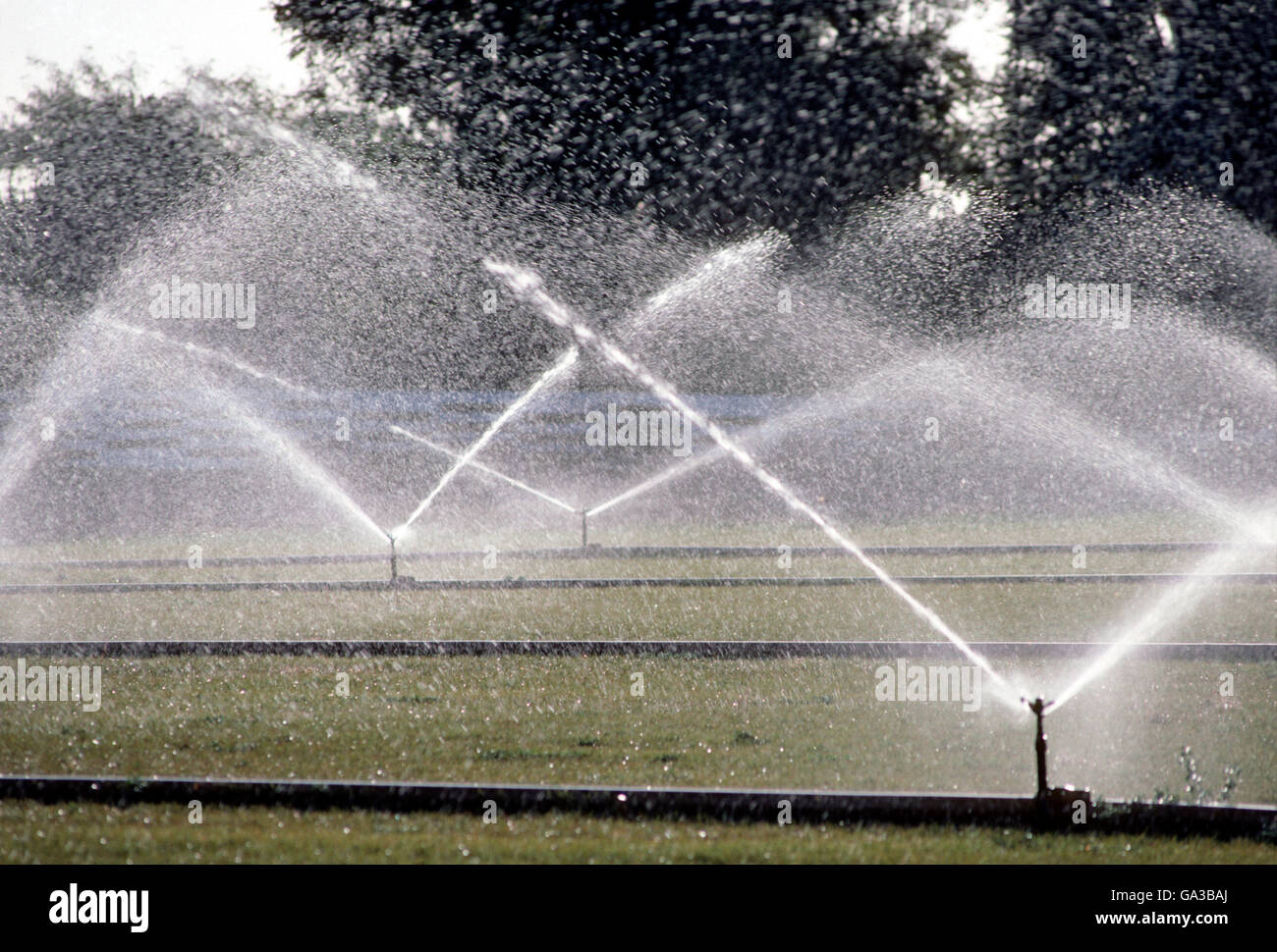 Grass spray hi-res stock photography and images - Alamy