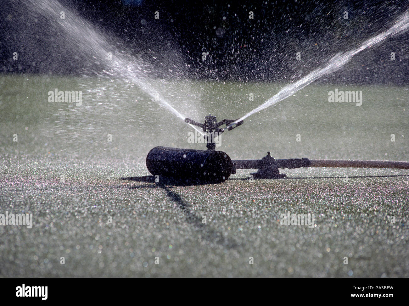 Commercial sprinkler irrigating golf course green; Kentucky; USA Stock ...