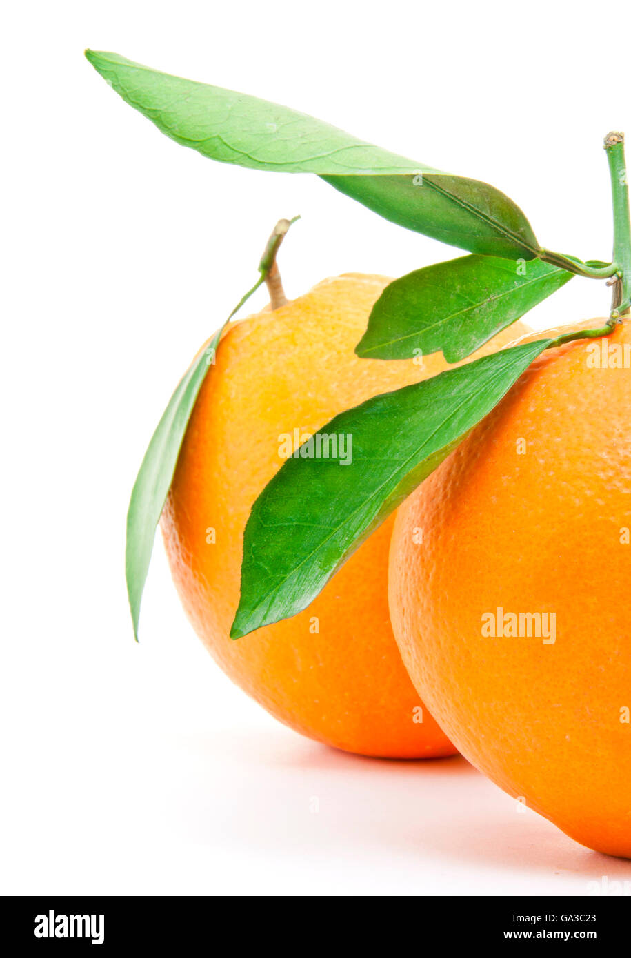 Fresh orange citrus fruit half healthy snack hi-res stock photography ...