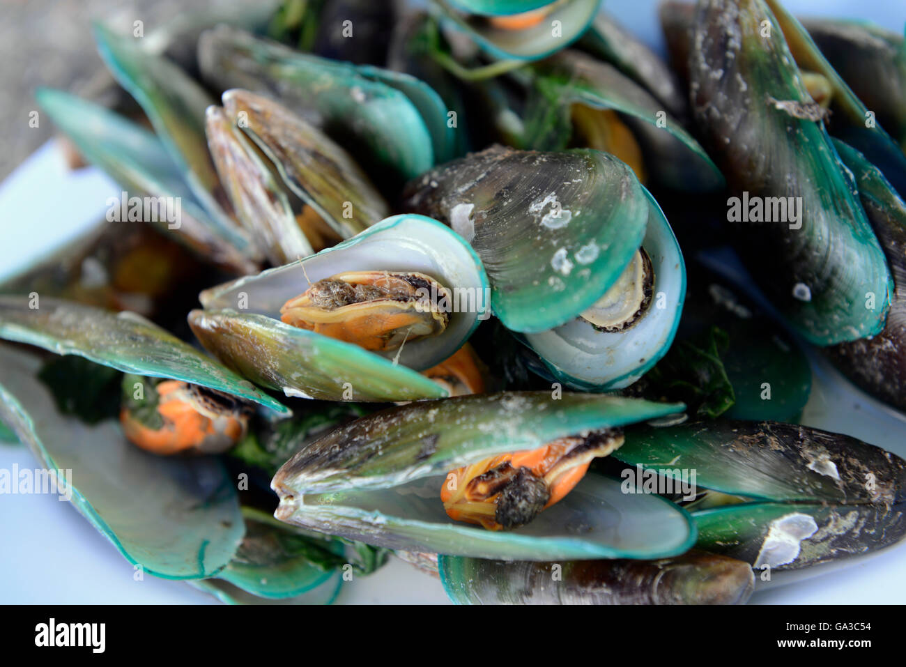 fresh shells and seafood in a Beach restaurant on the Rawai Beach on ...