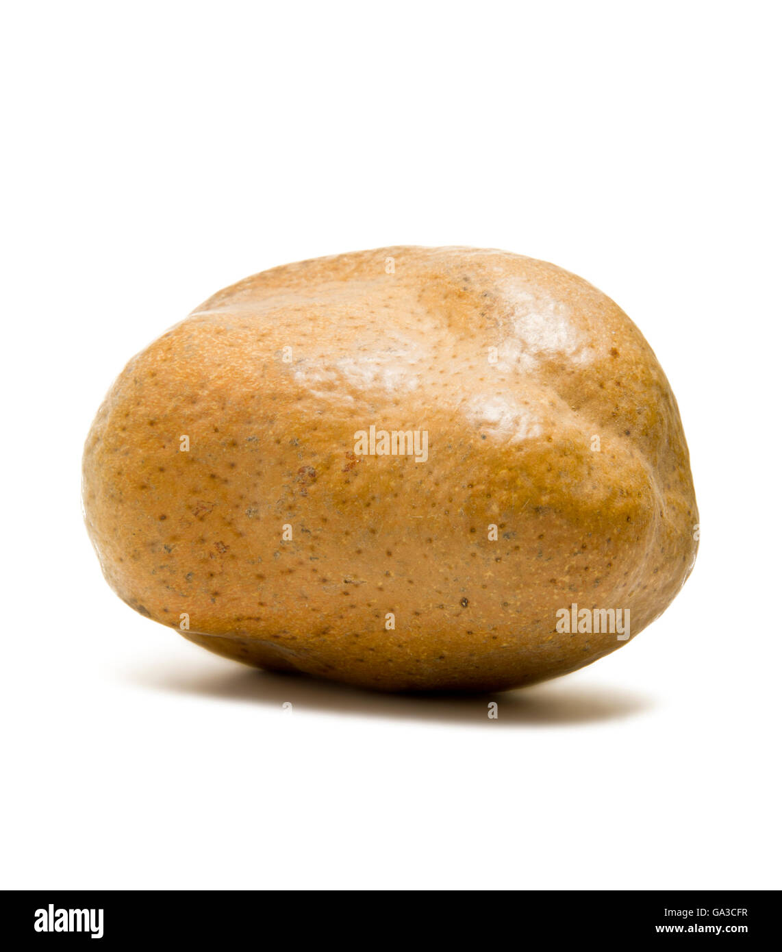 Doum fruit hi-res stock photography and images - Alamy