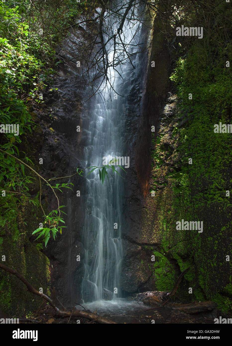 Gran Canaria, waterfall in the ravine Barranco de La Mina, one of the ...