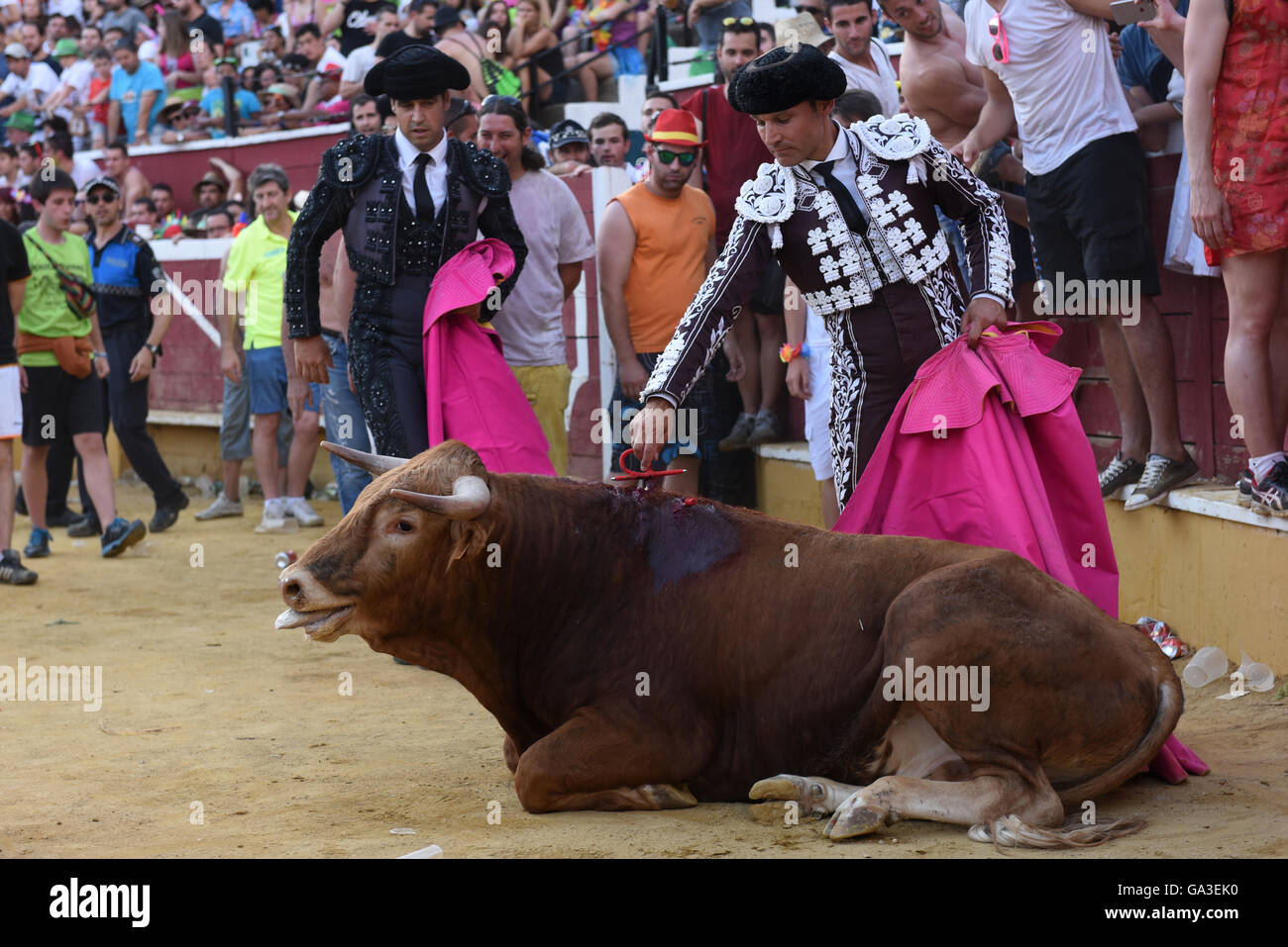 Soria, Spain. 01st July, 2016. A Laura Velasco ranch fighting bull ...