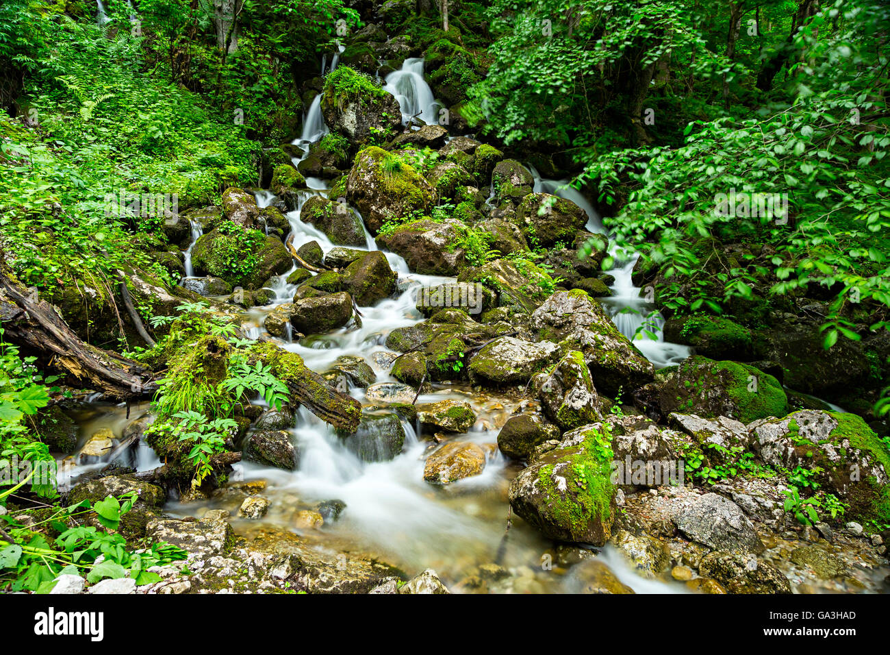 wonderful waterfall in green forest Stock Photo - Alamy