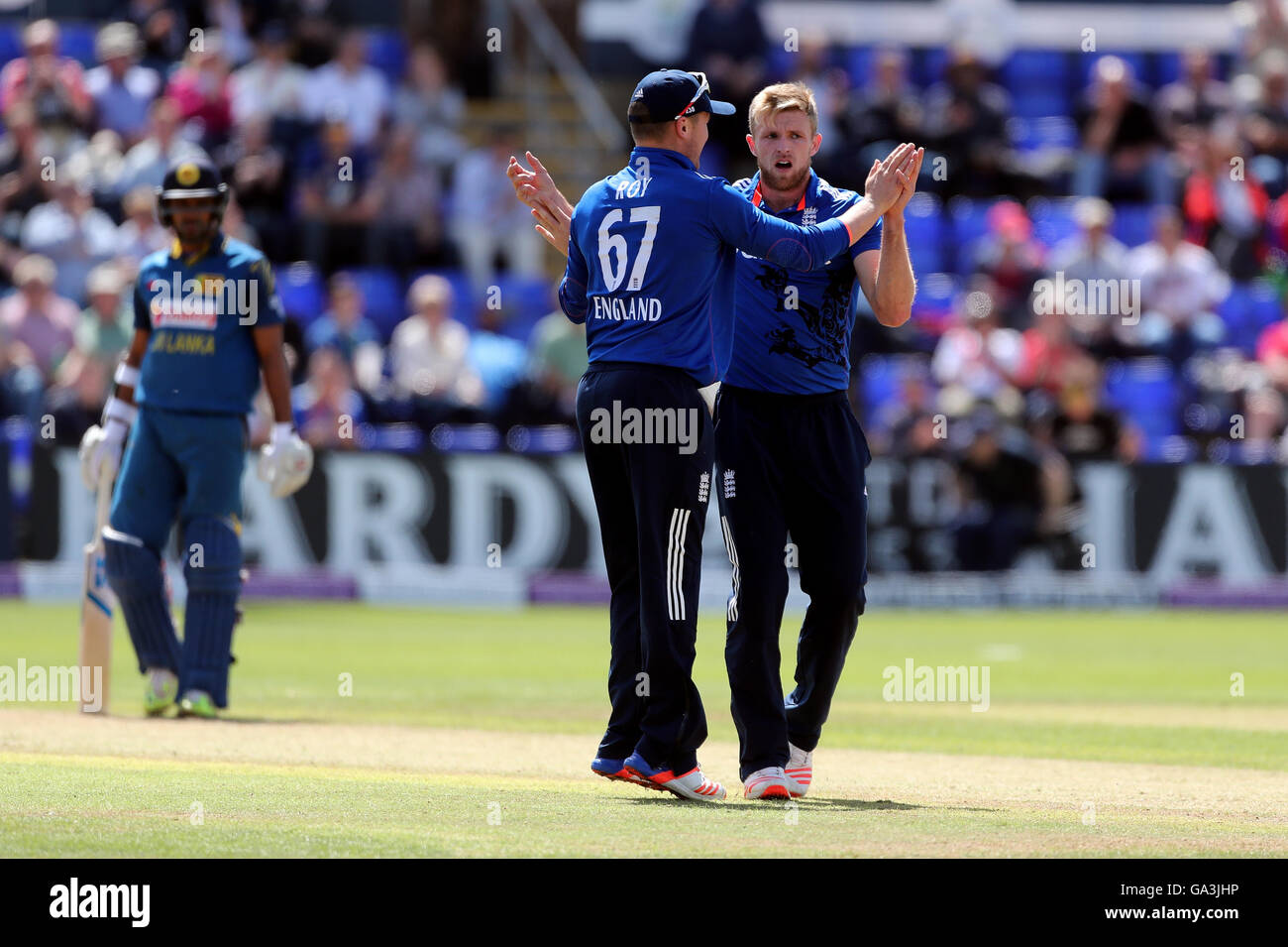 England's David Willey celebrates taking the wicket of Sri Lanka's ...