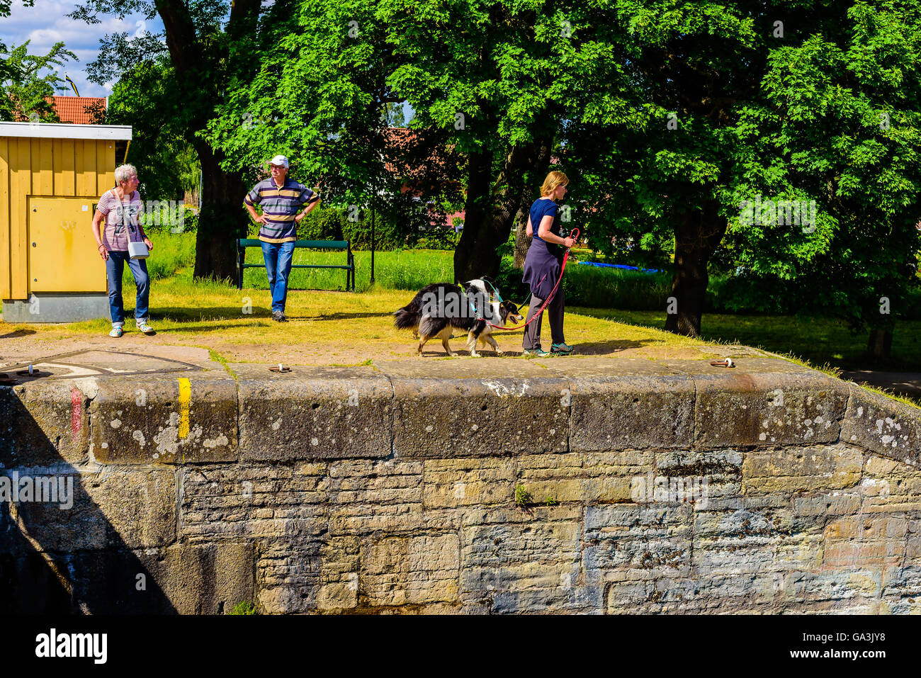 Elderly dog handler hi-res stock photography and images - Alamy