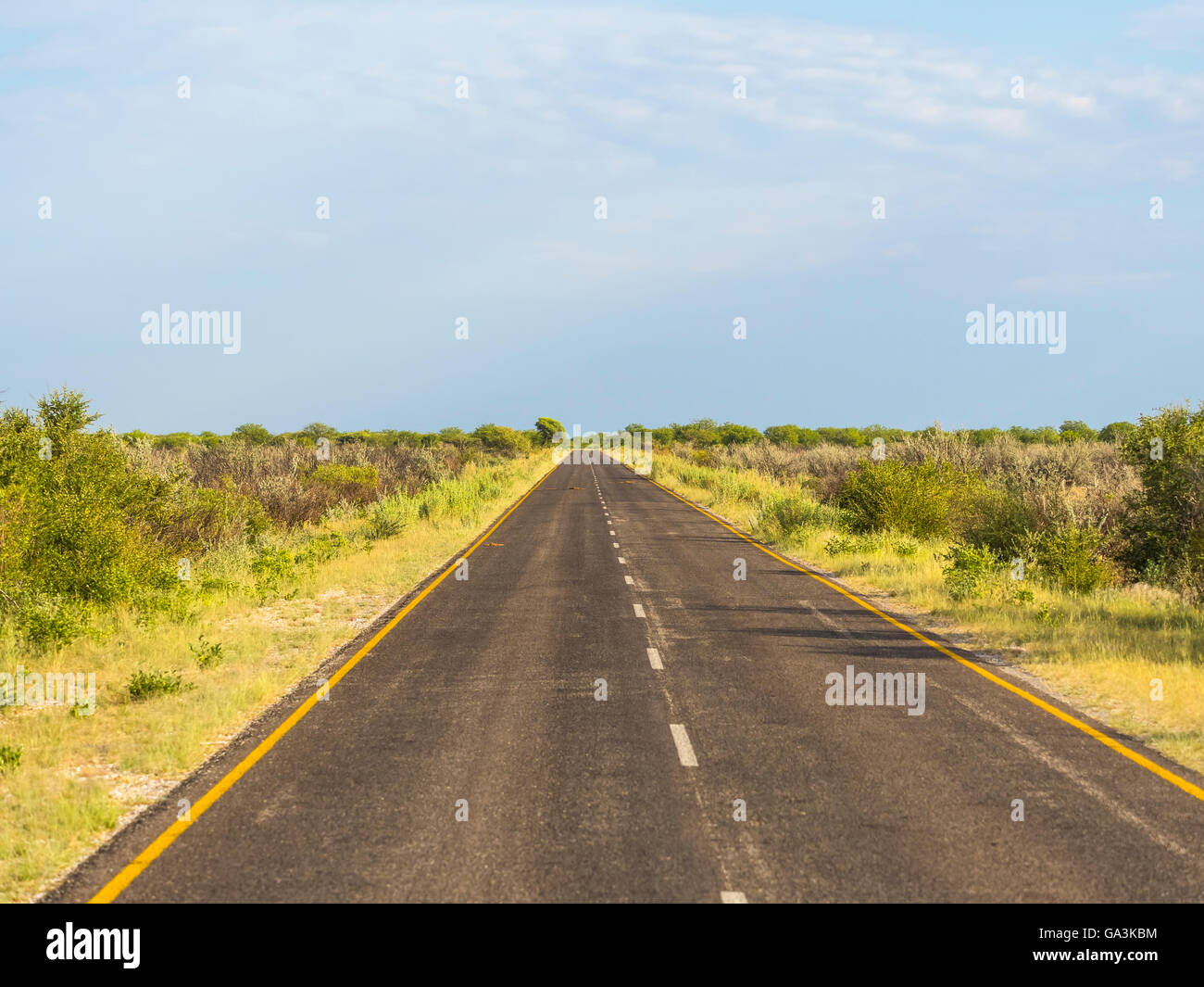 Paved street, Etosha National Park, Region Outjo, Namibia Stock Photo ...