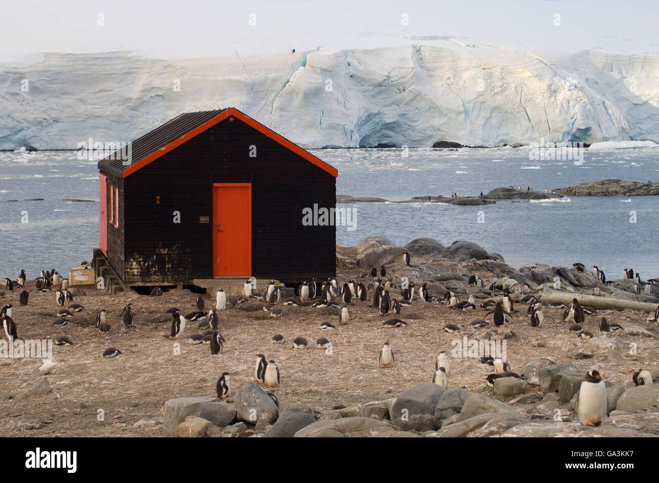 British base, Port Lockroy, Antarctic Peninsula, Antarctica Stock Photo ...