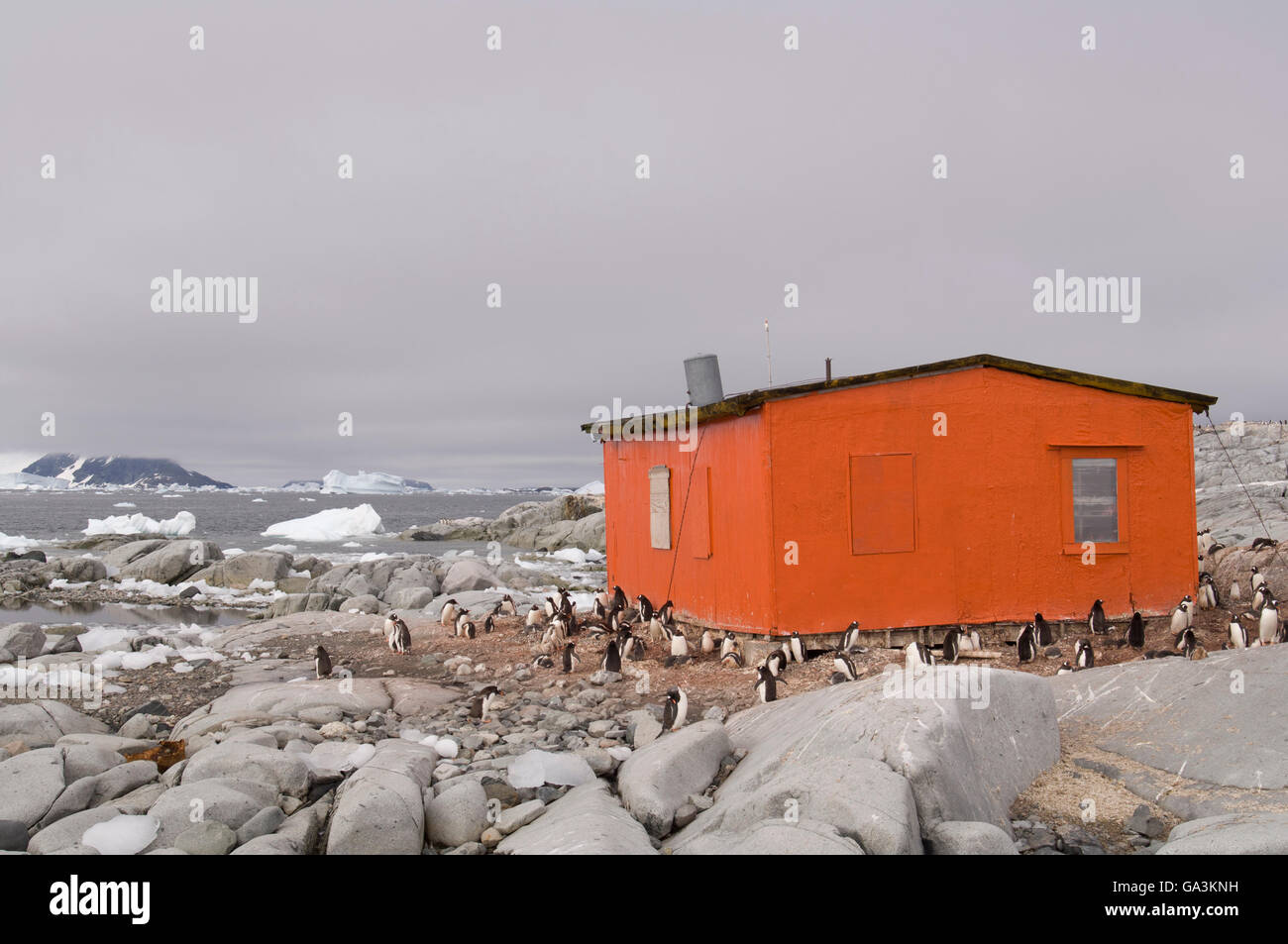 Emergency hut, Petermann Island, Lemaire Channel, Antarctic Peninsula ...