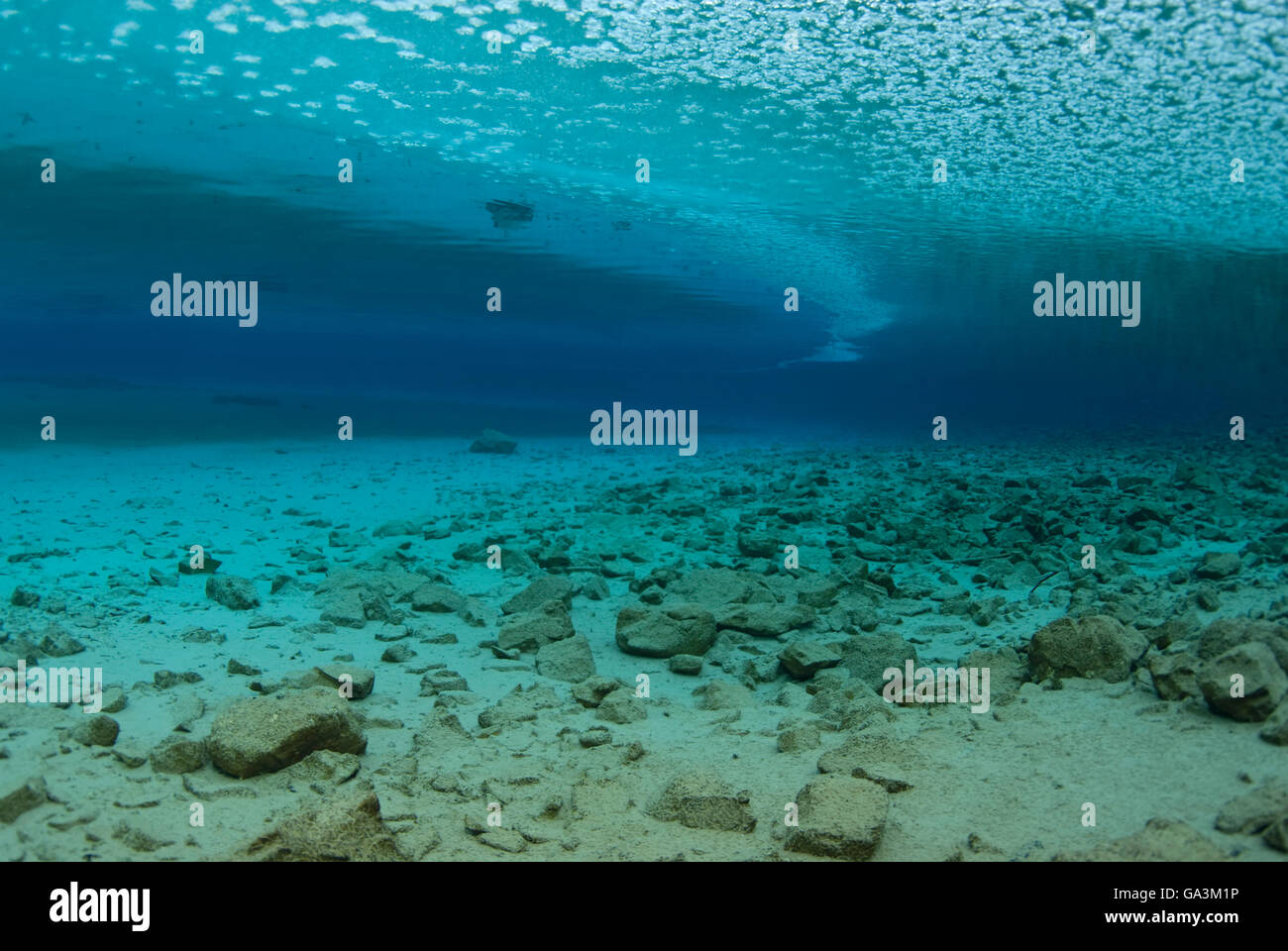 Ice diving in Lake Gruener See, Tragoess, Styria, Austria, Europe Stock ...
