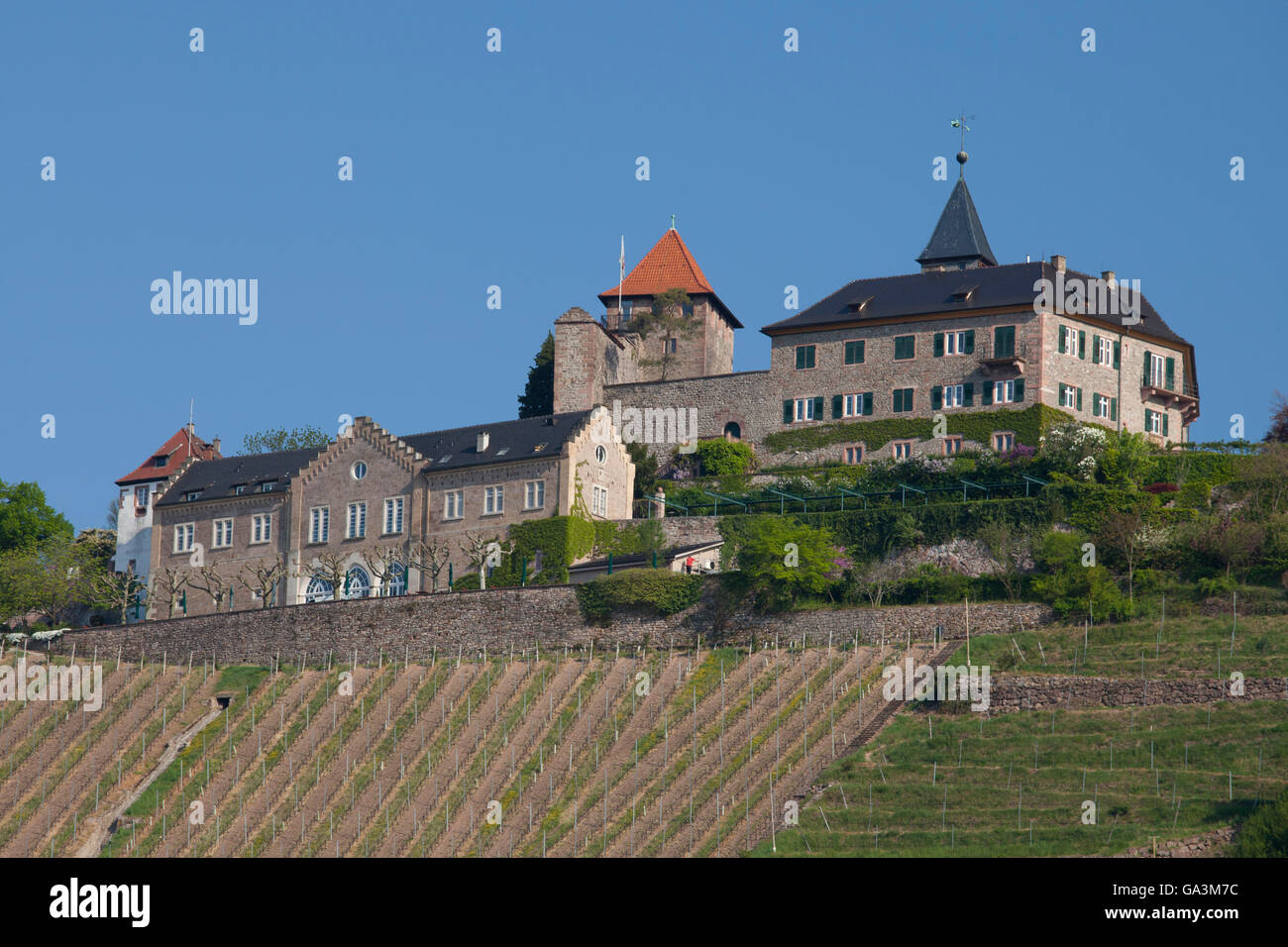 Schloss Eberstein castle, Obertsrot, Gernsbach, Murgtal valley, Black Forest, Baden-Wuerttemberg ...