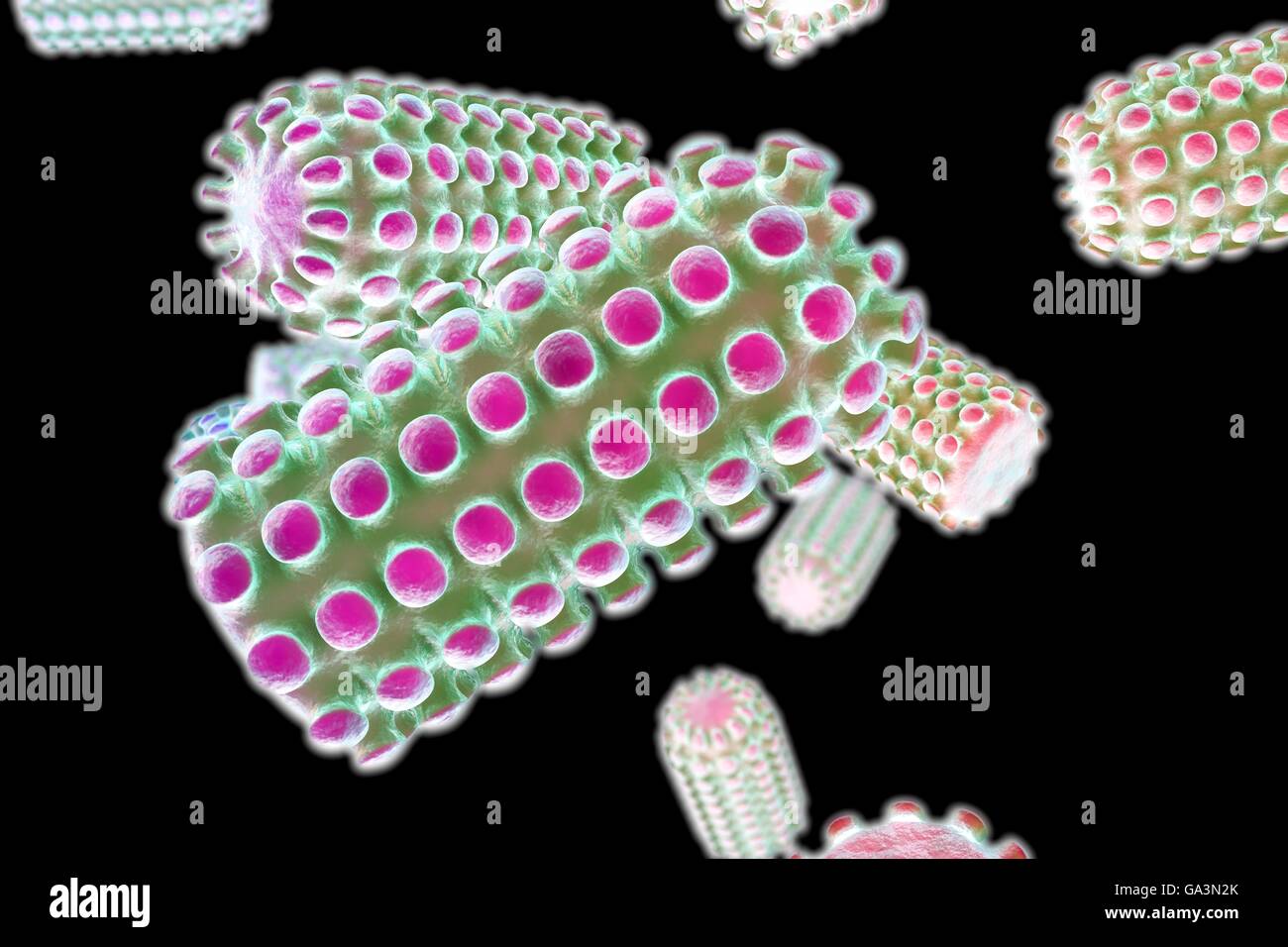 Lipoprotein envelope hi-res stock photography and images - Alamy