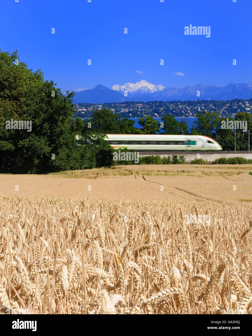 Wheat transportation by train hi-res stock photography and images - Alamy