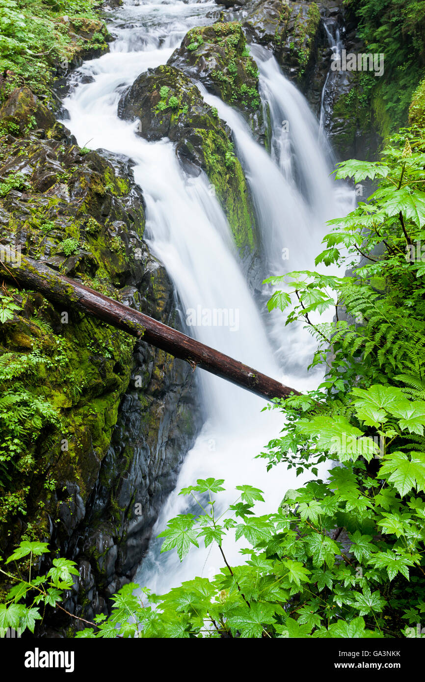Beautiful sol duc falls hi-res stock photography and images - Alamy