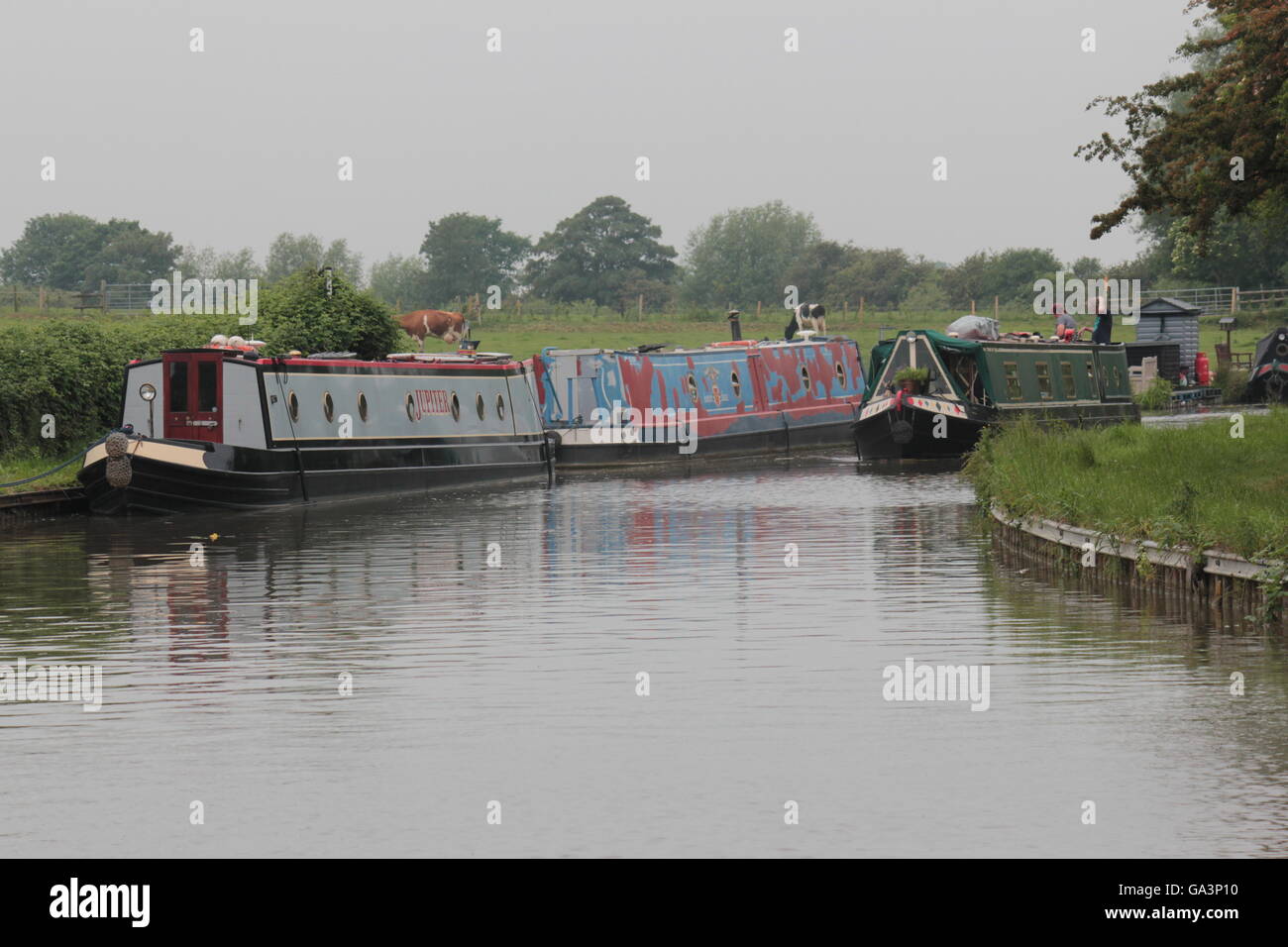 Barge or narrow boat on the canal Stock Photo - Alamy