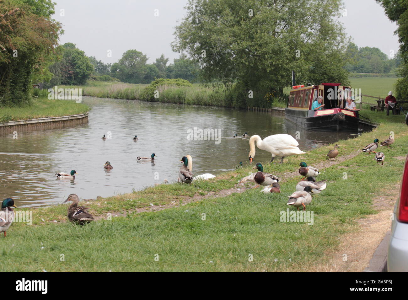 Barge or narrow boat on the canal Stock Photo - Alamy