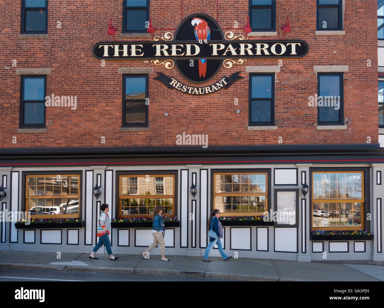 red parrot restaurant Newport Rhode Island Stock Photo - Alamy