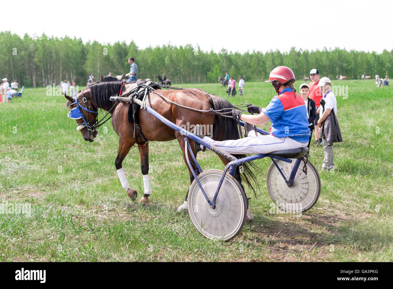 Carriage racing horse hi-res stock photography and images - Alamy