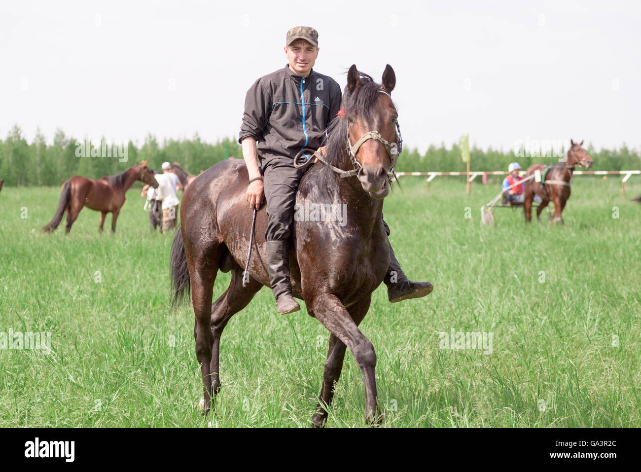 Man riding a brown horse outside without a saddle or safety hat Stock ...