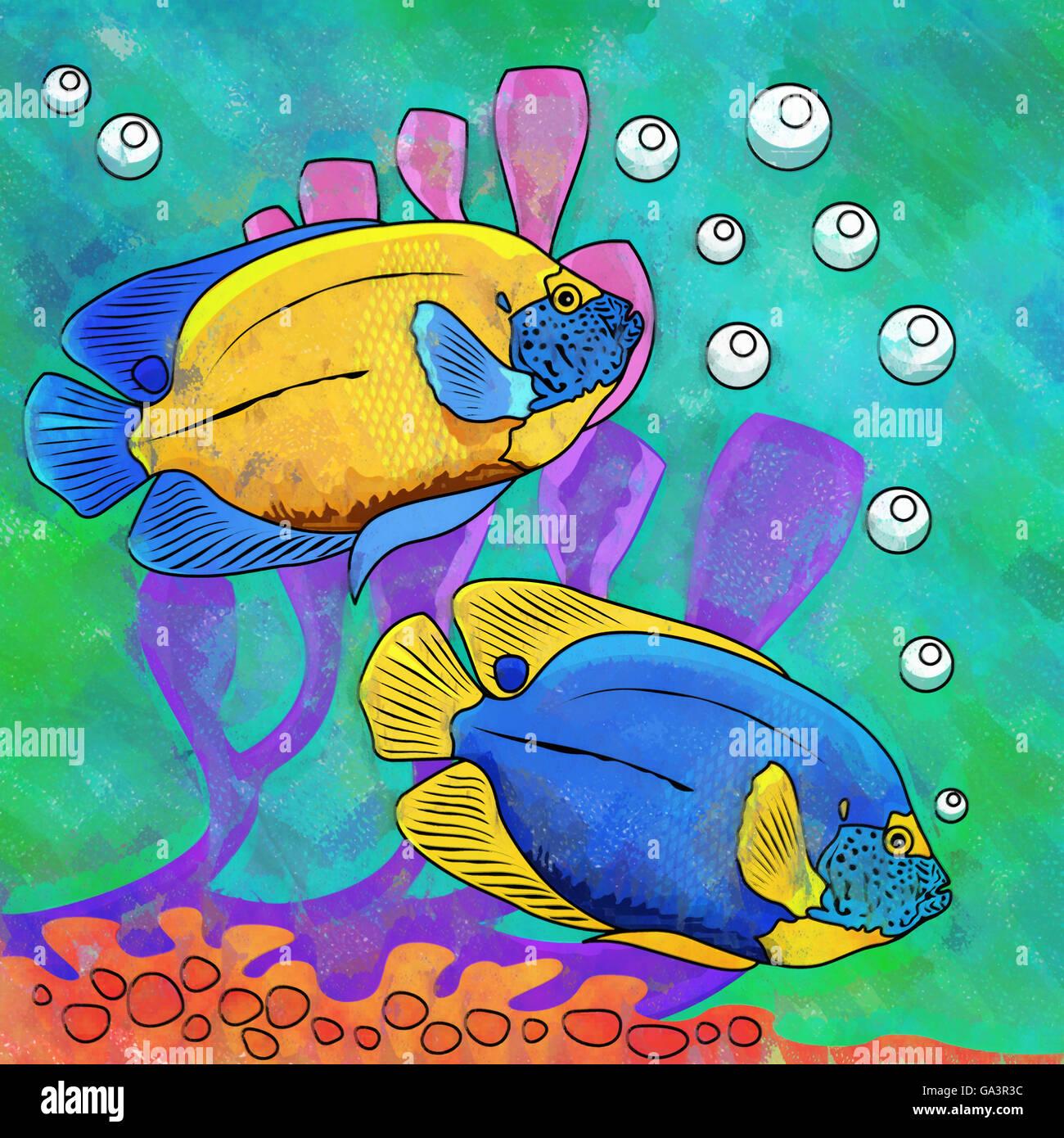 Tropical freshwater fishes fighting hi-res stock photography and images ...