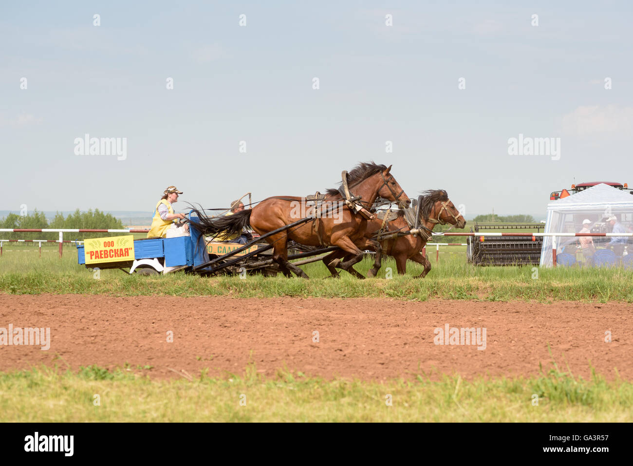 Carriage racing horse hi-res stock photography and images - Alamy