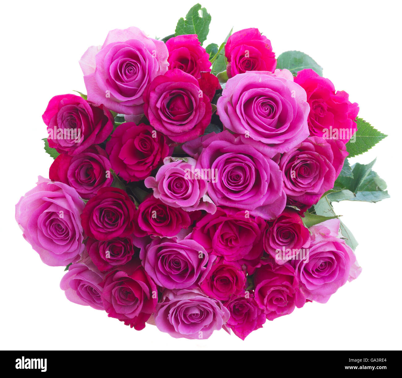 bouquet of fresh pink roses Stock Photo - Alamy